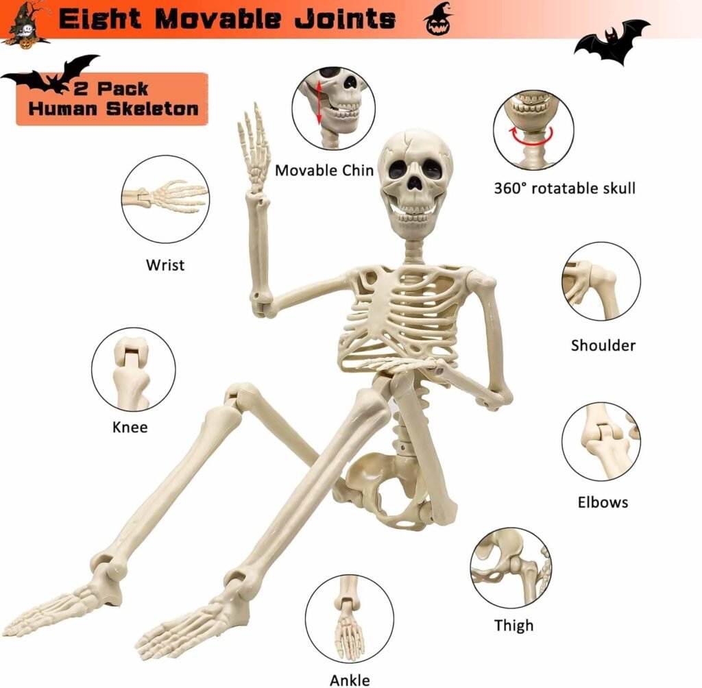 2-Pack 36″ Halloween Skeletons – Posable Life-Size Human Skeletons for ...